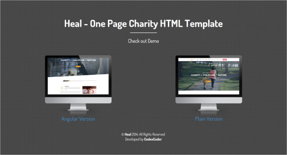18+ Charity Blog Themes & Templates