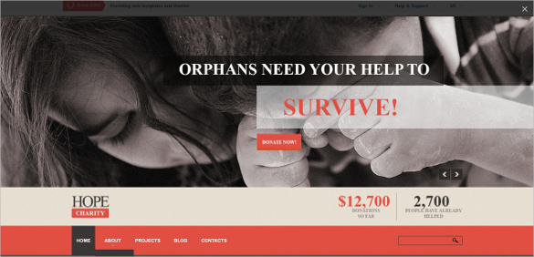 18+ Charity Blog Themes & Templates