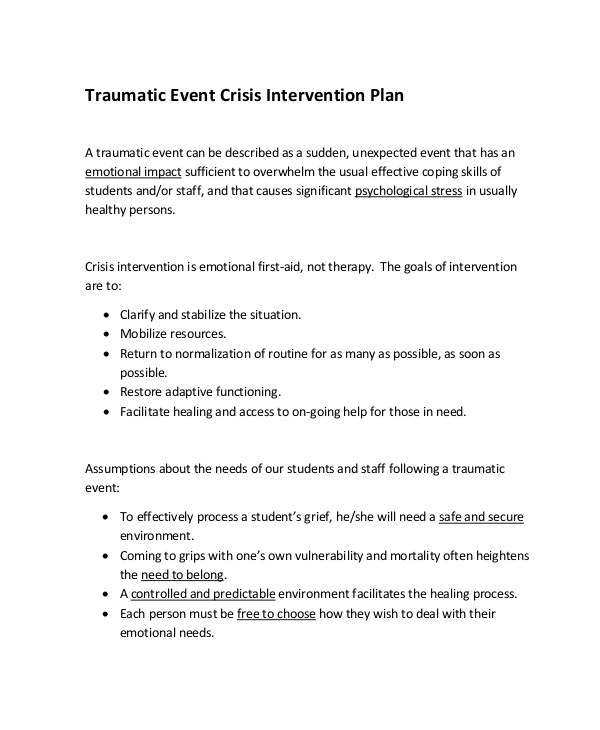 Crisis Plan Template 10 Word PDF Google Docs Apple Pages 