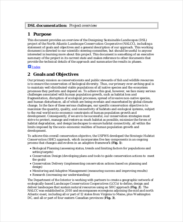 17+ Project Summary Templates - PDF, DOC