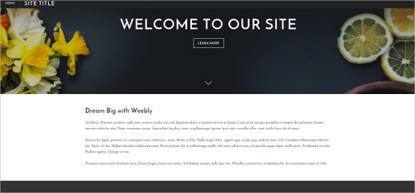 27+ Free Weebly Themes & Templates