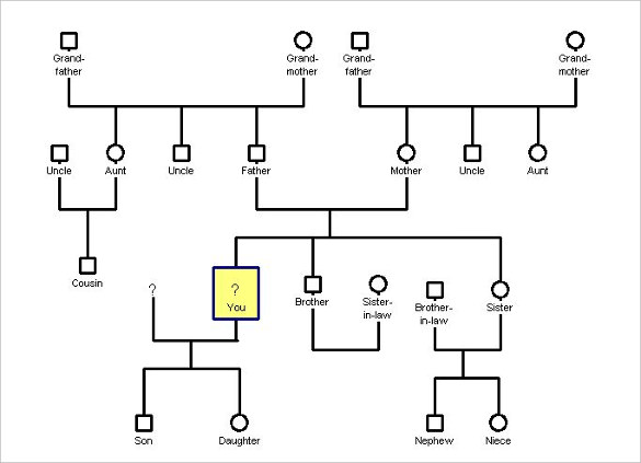 40 Genogram Templates PDF DOC PSD Free Premium Templates