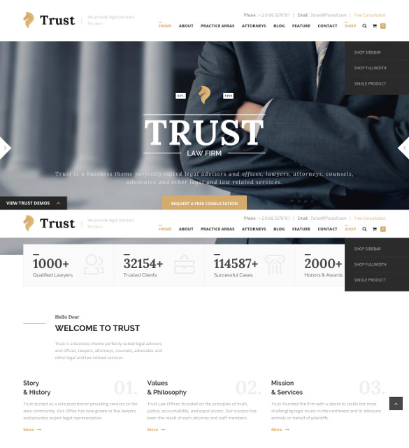 22+ Law & Legal Blog Themes & Templates