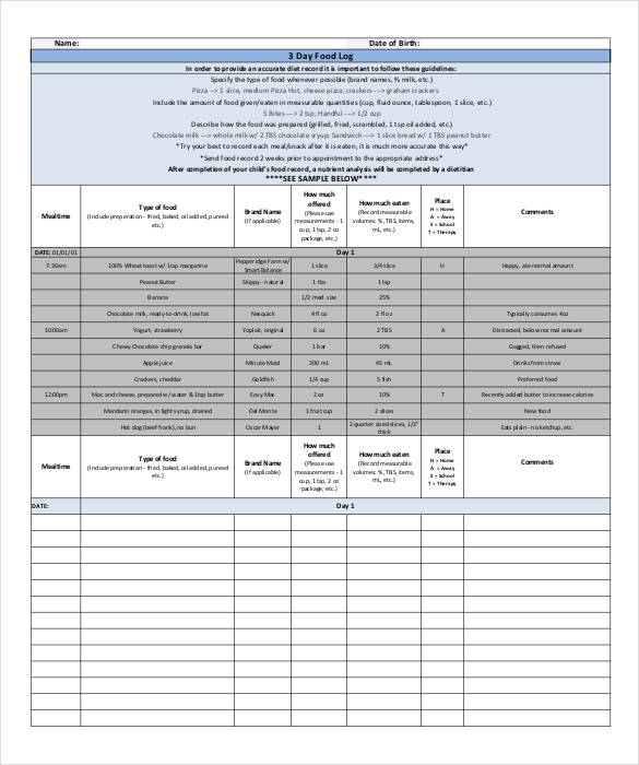 33 Food Log Templates DOC PDF Excel