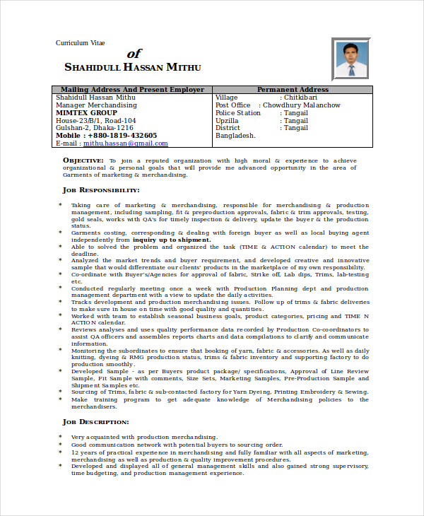 Merchandiser Resume Template - 12+ Free Word, PDF Documents Download