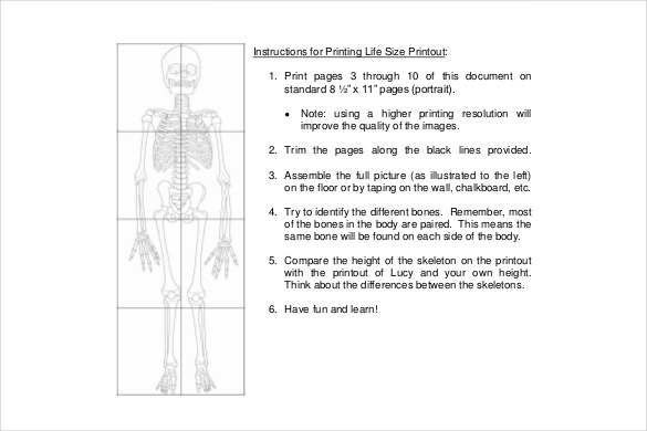 15+ Free Body Diagram Templates – Sample, Example, Format Download ...