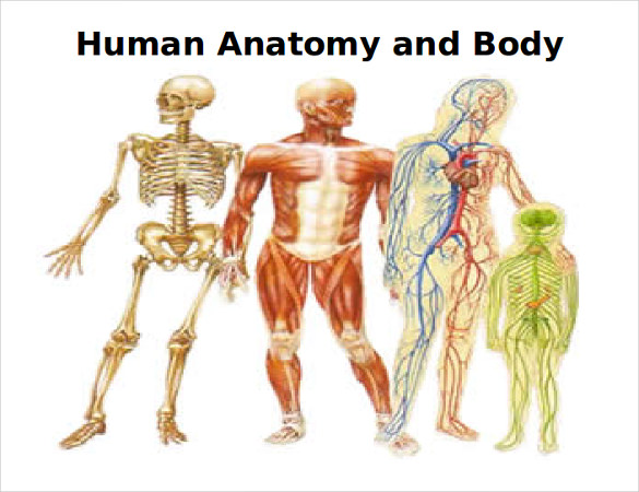 15+ Free Body Diagram Templates – Sample, Example, Format Download ...