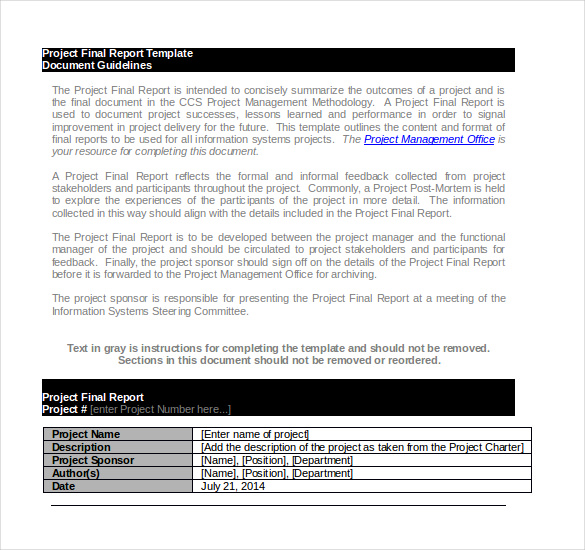 23+ Project Report Templates - DOC, PDF