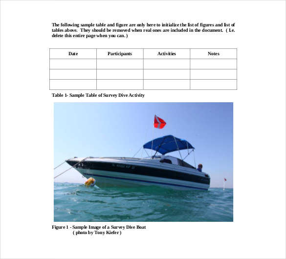 44+ Project Report Templates - PDF, Word