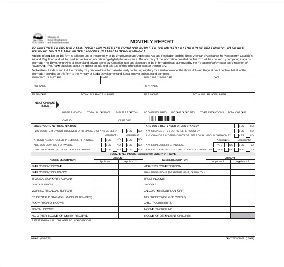 34+ Sample Monthly Report Templates - Word, PDF