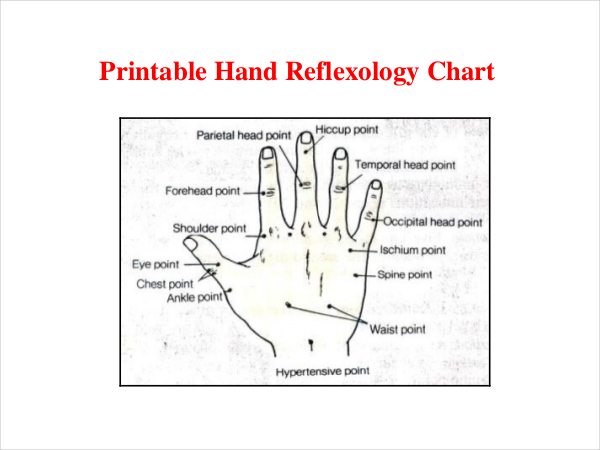 Reflexology Chart Templates – 9+ Free PDF Documents Download