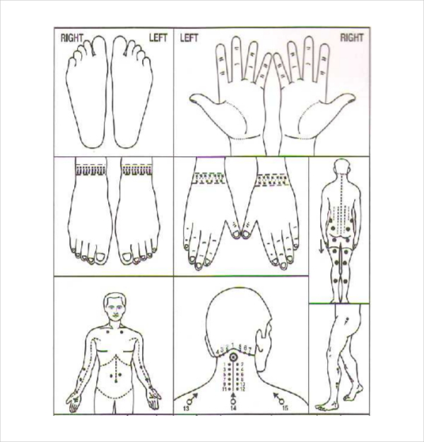 Reflexology Chart Templates – 9+ Free PDF Documents Download