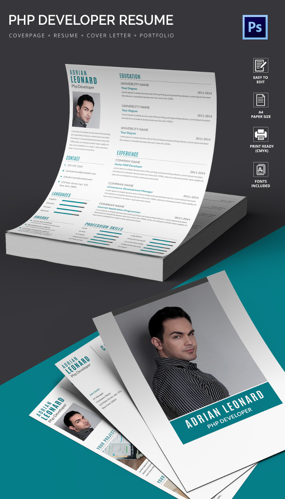 20+ Web Developer Resume Templates - DOC, PDF