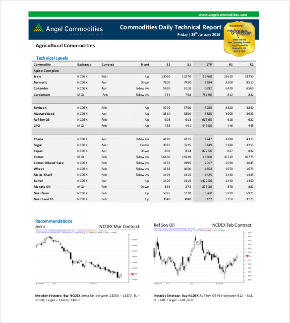 16+ Sample Technical Report Templates - Word, PDF, Google Docs, Apple Pages
