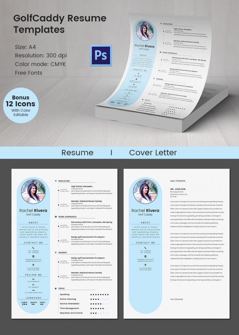 20+ Web Developer Resume Templates - DOC, PDF