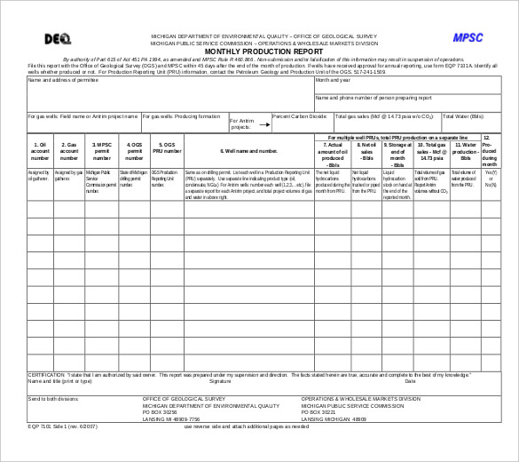 22 Production Report Templates Docs PDF Word Pages