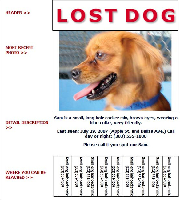 19 Lost Pet Flyers Word PSD AI Vector EPS