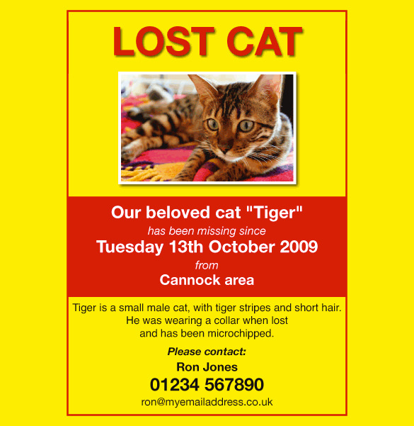 19 Lost Pet Flyers Word PSD AI Vector EPS