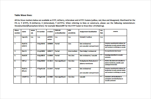9+ Line Sheet Templates - Word, PDF, Google Docs, Apple Pages