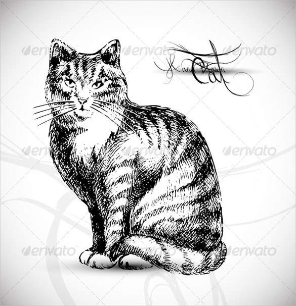 Cat Drawings Template – 13+ Free PDF Documents Format Download
