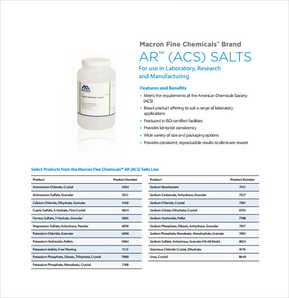 Sell Sheet Template - 10+ Free Word, PDF Documents Download