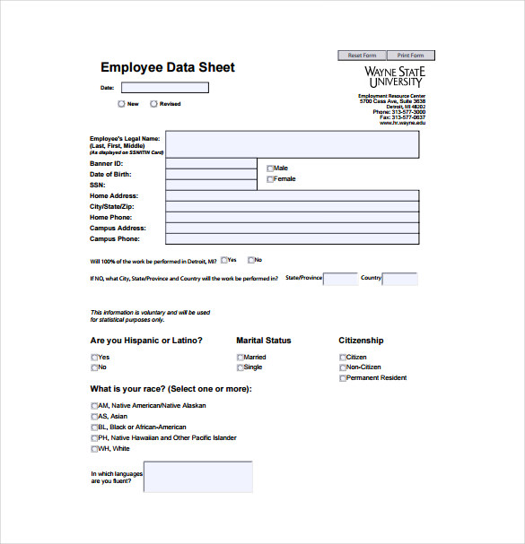 31+ Data Sheet Templates - Word, PDF, Google Docs, Apple Pages