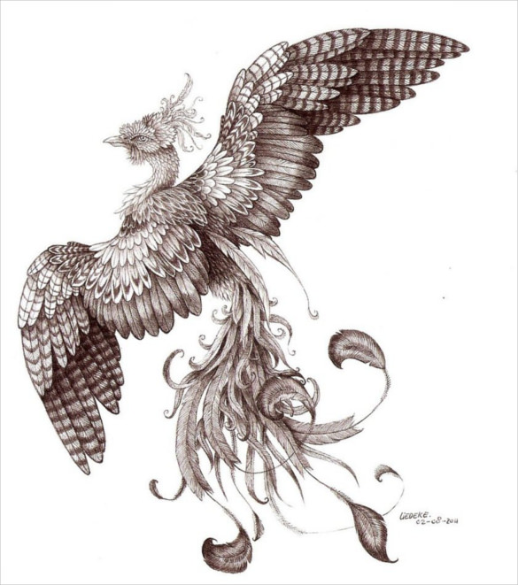 21+ Mind Blowing Phoenix Bird Art Drawings | Free & Premium Templates