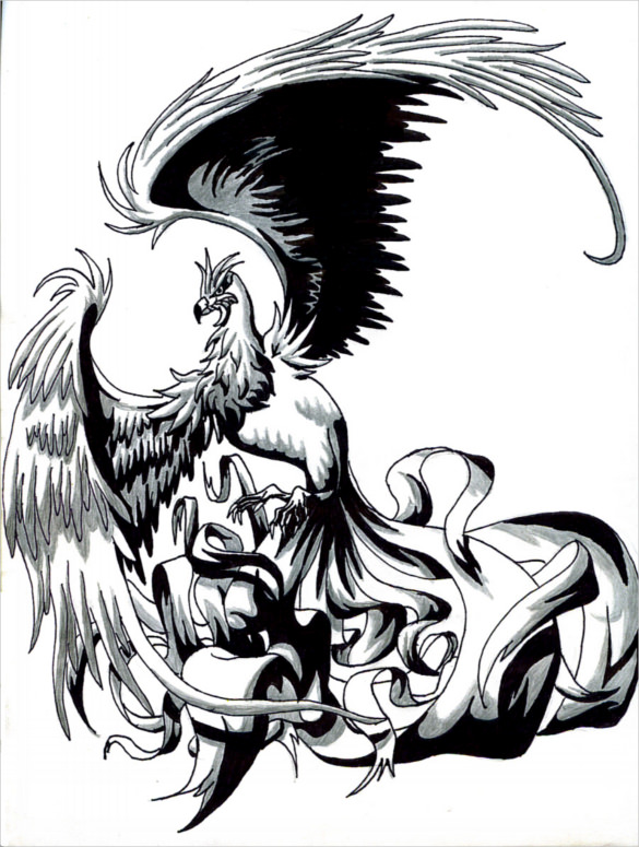 21+ Mind Blowing Phoenix Bird Art Drawings