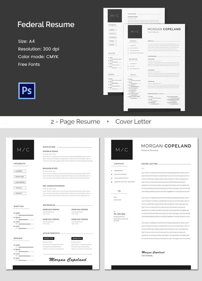 20+ Web Developer Resume Templates - DOC, PDF