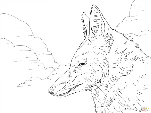 31+ Wolf Drawings -PDF, JPEG