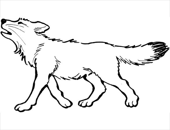 31+ Wolf Drawings -PDF, JPEG