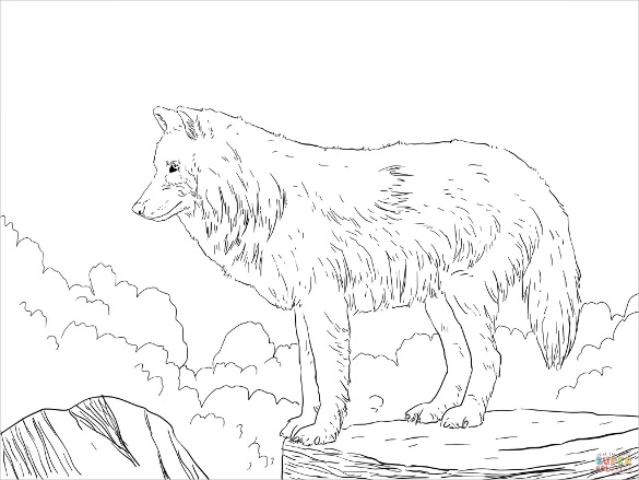 31+ Wolf Drawings -PDF, JPEG