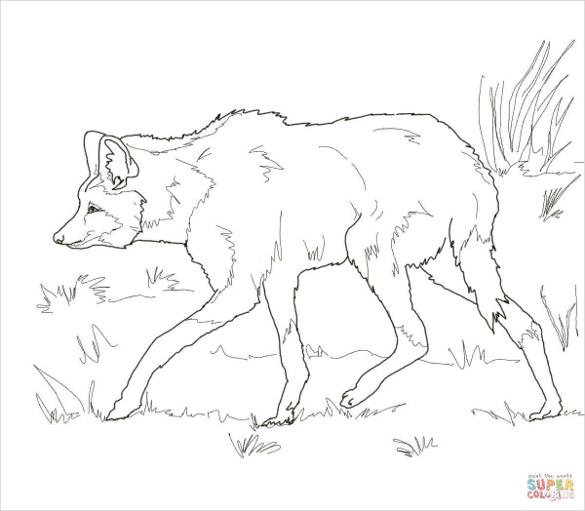 31+ Wolf Drawings -PDF, JPEG