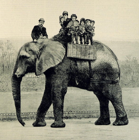 Elephant Drawings – 15+ Free Printable, JPEG, PNG Format Download