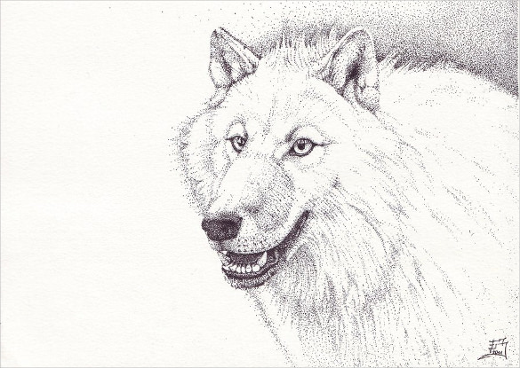 31+ Wolf Drawings -PDF, JPEG
