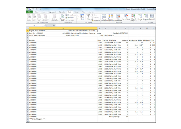 40+ Monthly Management Report Templates in PDF | Google Docs | Excel ...