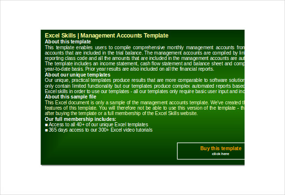 40+ Monthly Management Report Templates in PDF | Google Docs | Excel ...