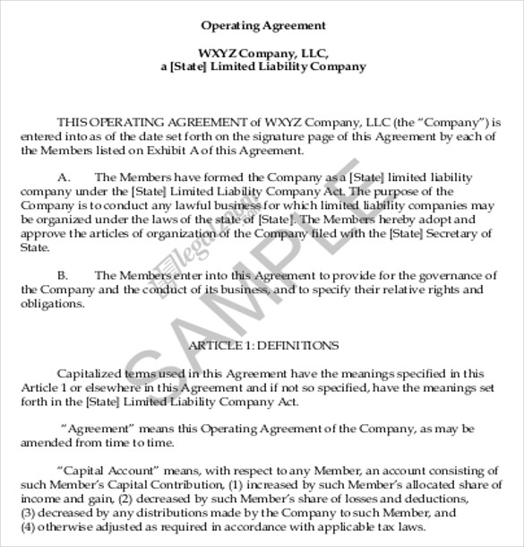 Operating Agreement Template 12 Free Word PDF Document Download