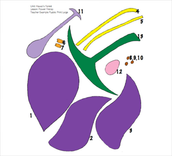 20+ Flower Petal Templates - PDF, Vector EPS