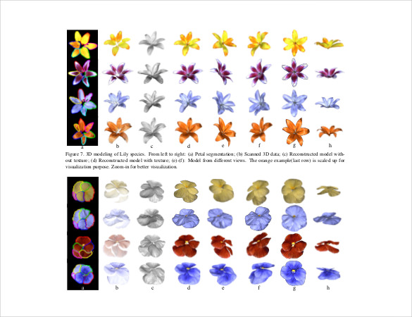 20+ Flower Petal Templates - PDF, Vector EPS