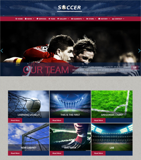 28+ Soccer Club Website Themes & Templates