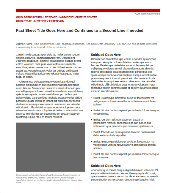 35+ Fact Sheet Templates - PDF, DOC, Apple Pages, Google Docs