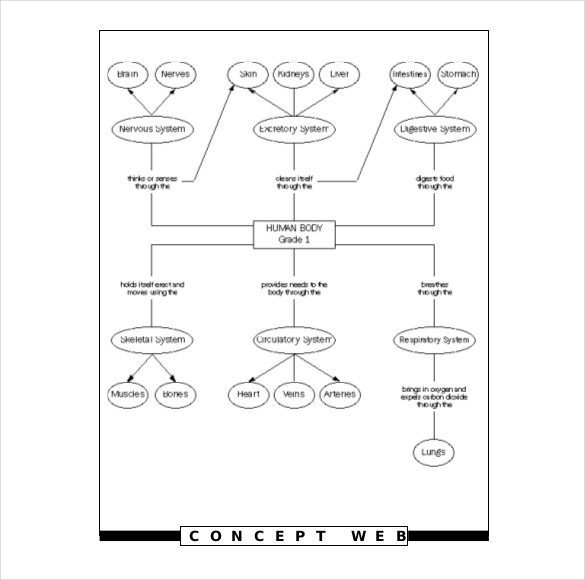 23+ Human Body Templates - DOC, PDF, PPT