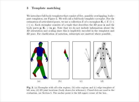 23+ Human Body Templates - DOC, PDF, PPT