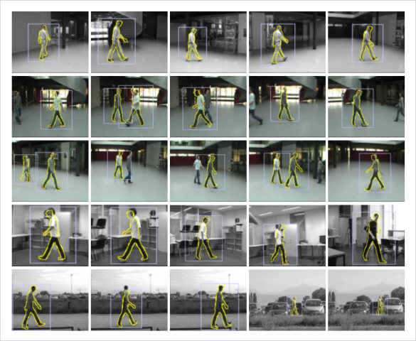 23+ Human Body Templates - DOC, PDF, PPT