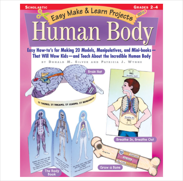 23+ Human Body Templates - DOC, PDF, PPT