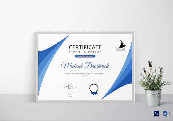Coach Certificate Template - 11+Free Word, PDF Documents Download