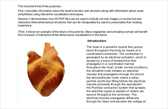 17+ Heart Diagram Templates - Sample, Example, Format Download