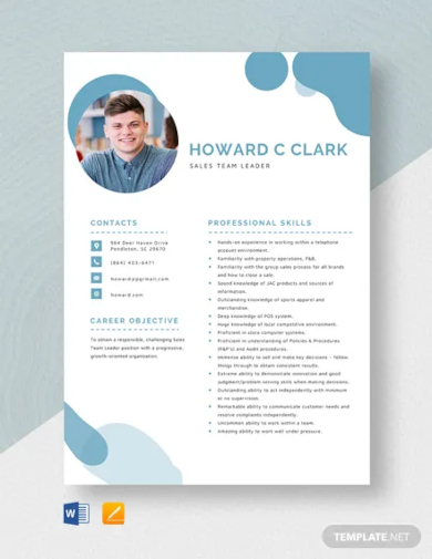 Sales Manager Resume Template - 15+ Free Word, PDF Documents Download