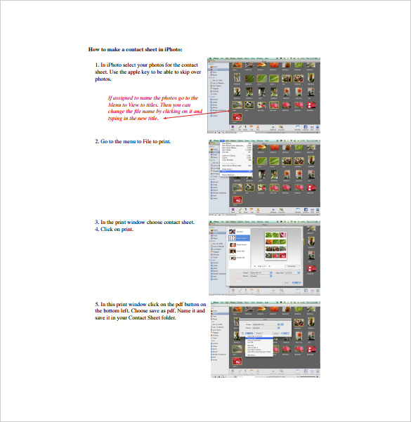 13+ Contact Sheet Templates - DOC, PDF